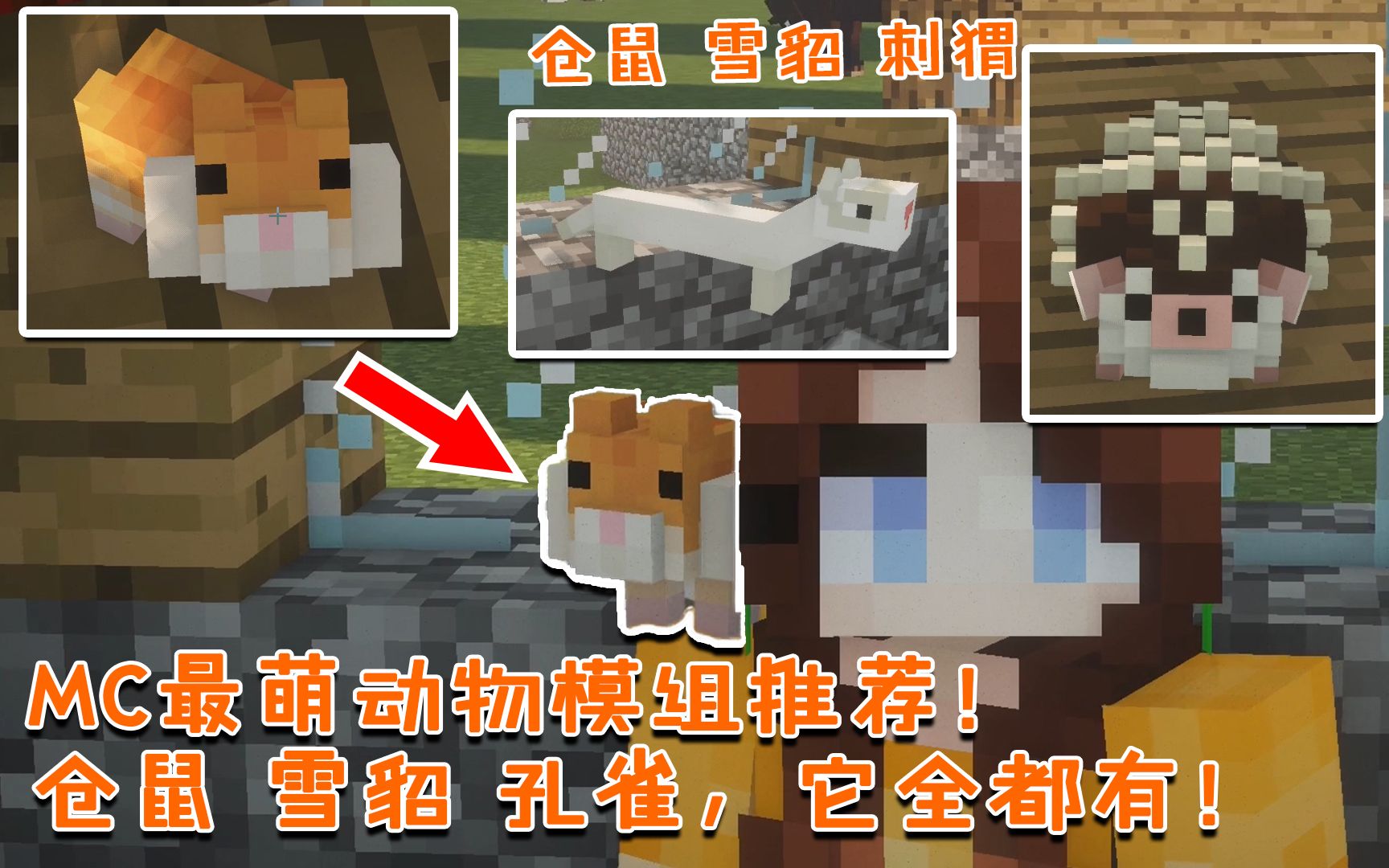 我的世界:MC最萌动物模组推荐!仓鼠 雪貂 孔雀,它全都有![番外篇164]