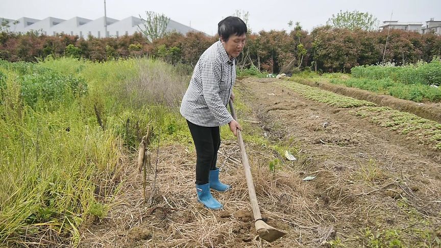 农民种庄稼要想种的好,种植之前还需要这样做,你知道吗