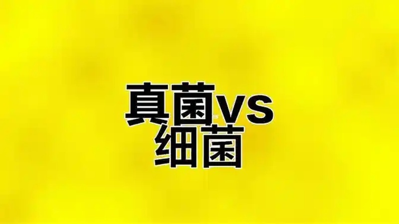 细菌与真菌的区别解析
