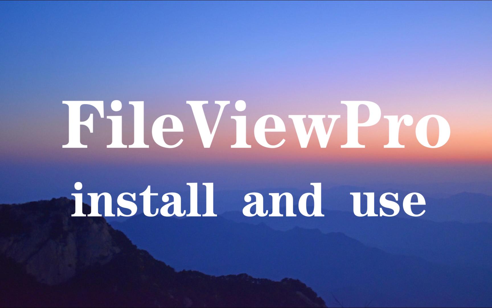【软件安利】FileViewPro的安装与应用