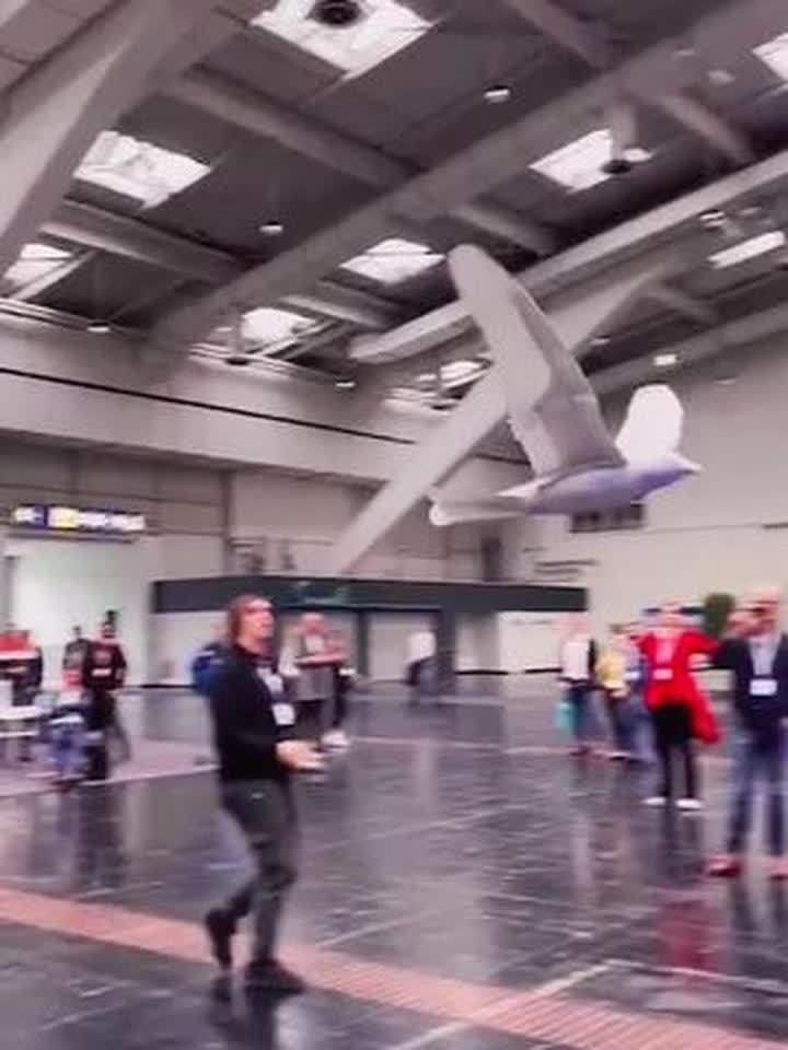 仿生飞行博览 视觉震撼 科技改变生活 仿生学应用 科技博览