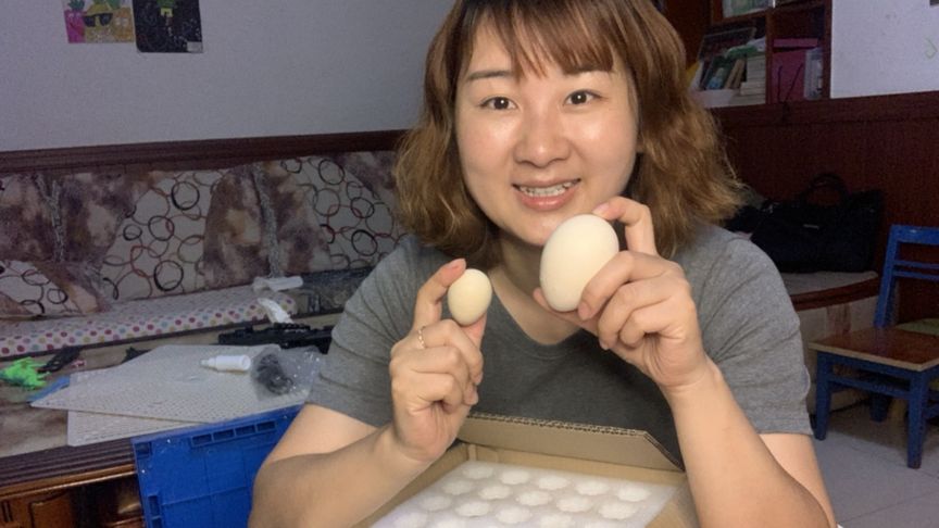 小斐花400块的寄到的受精蛋,一个小意外,不知道还能不能孵出