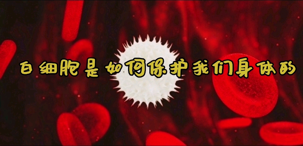 人体内白细胞是如何消灭病毒的