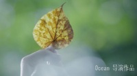 (植海洋导演作品)DOS音箱 宣传片
