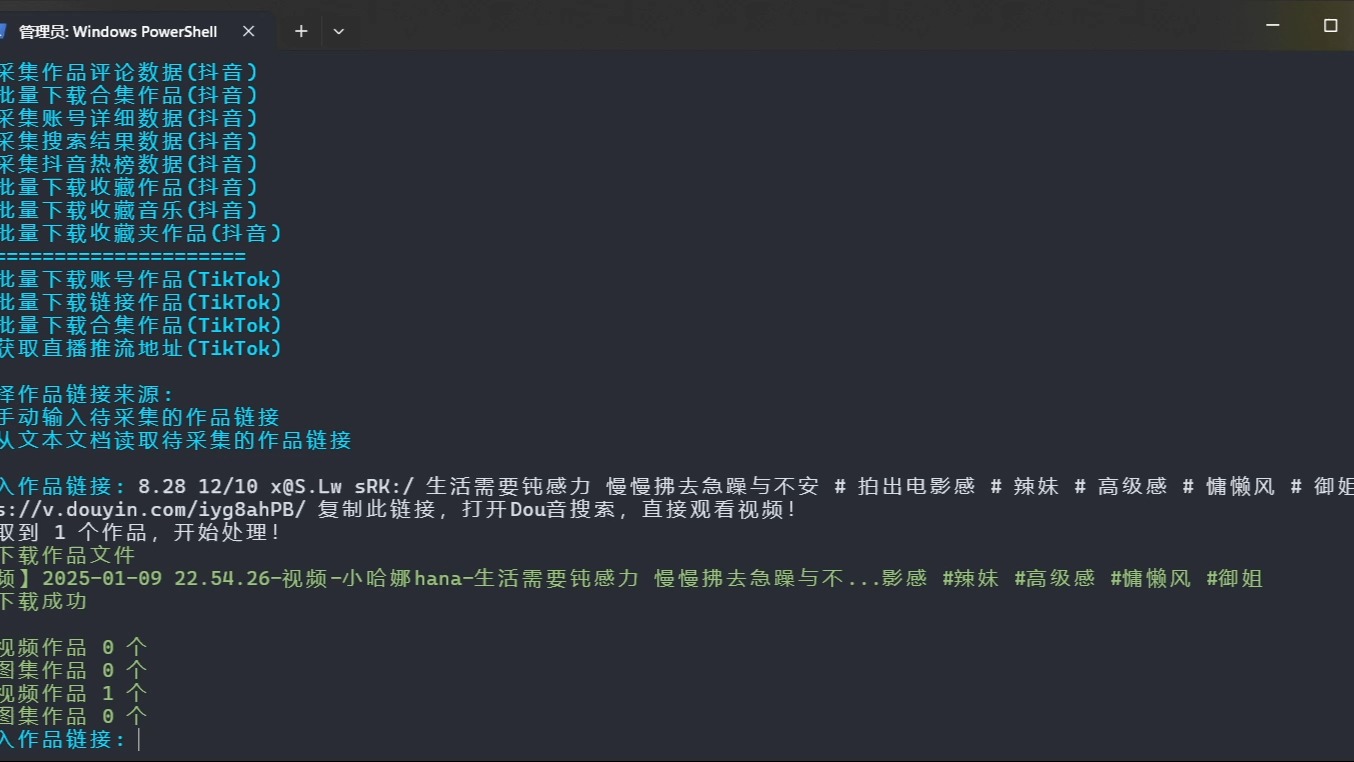 TikTokDownloader V5.5 程序运行演示