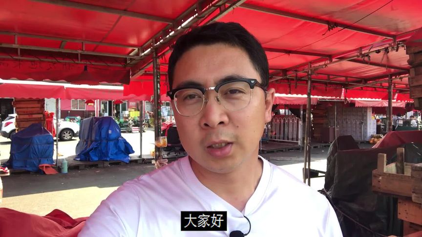 网红秋月梨,长相独特,口感真不是盖的,汁多味甜,梨中上品