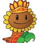 小葵花天秀课堂 