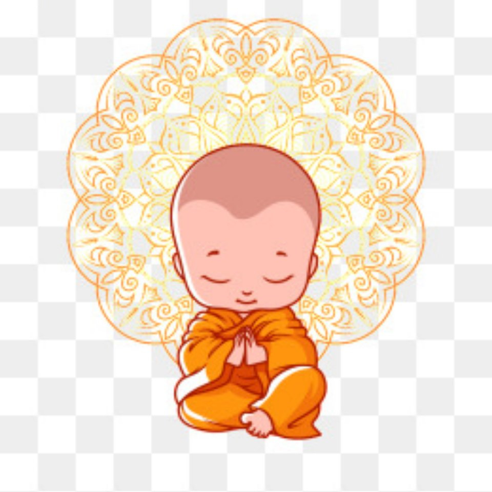 定慧小哥 