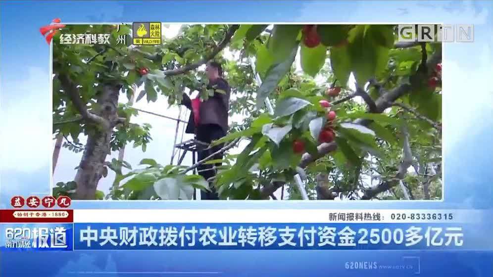 中央财政拨付农业转移支付资金2500多亿元