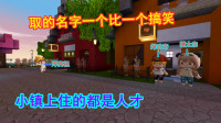 迷你世界:小镇上住的是高手,取名一个高过一个,真是太搞笑了