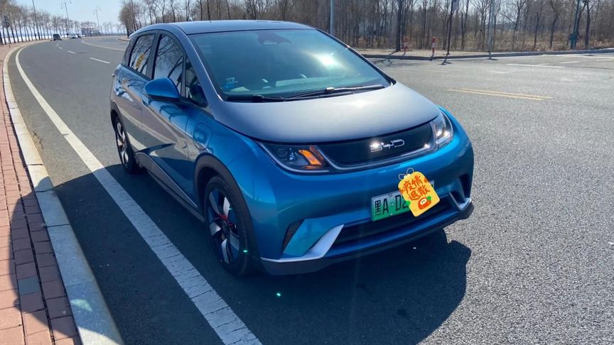 久等了～比亚迪海豚遥控驾驶功能展示来了,真是个大玩具