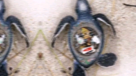 这就是如今地球的现状