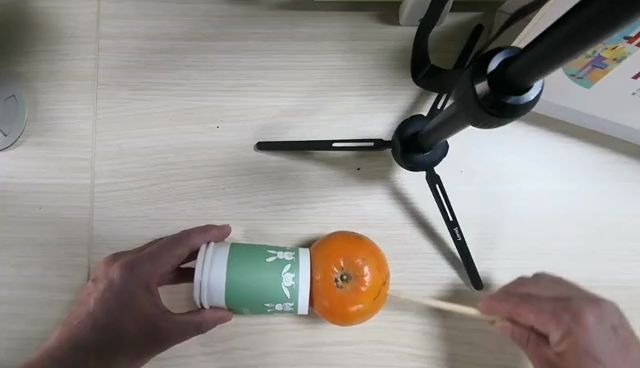 演示盂肱关节的滑动与滚动