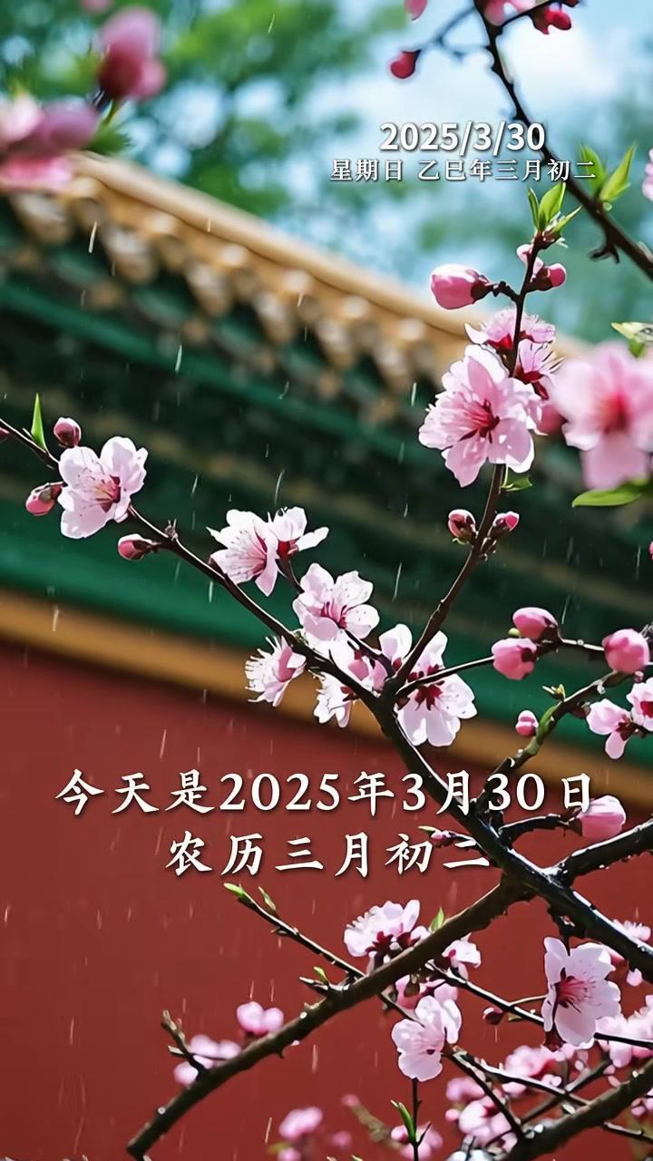 今天是2025年3月30日,农历三月初二。寒潮已至,记得添衣。愿我们...