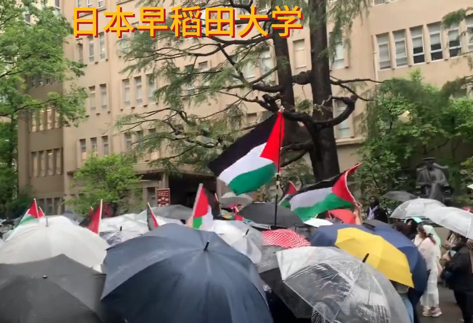 日本学生也上街反以色列游行,日本早稻田大学上街游行