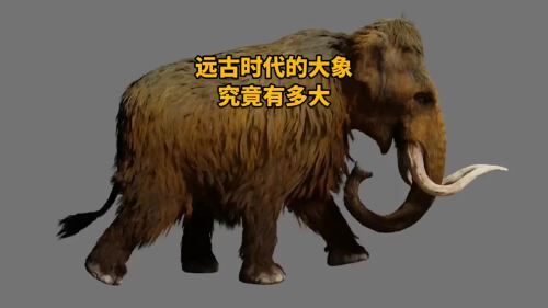 不同时期的地球上出现过哪些大象?那些史前大象究竟有多大?