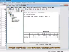SPSS描述统计与茎叶图