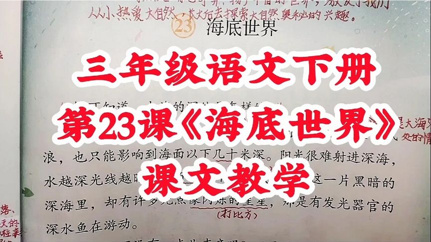 三年级语文下册第23课《海底世界》课文教学