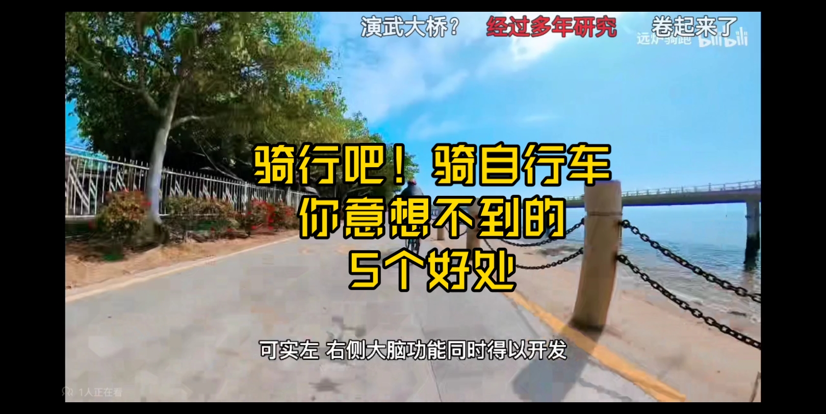 绿色出行:骑自行车你不知道的五个好处!