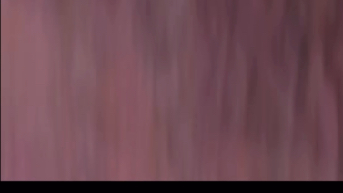 病毒如何复制和扩增?