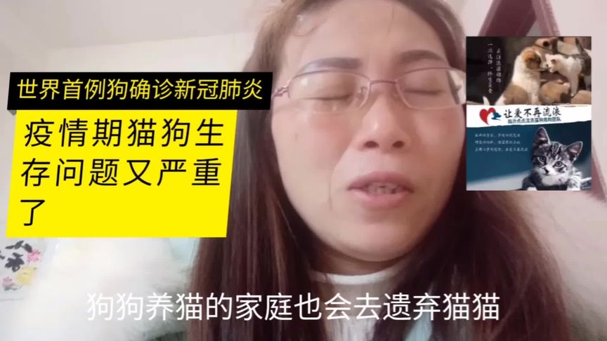 世界首例狗确诊新冠肺炎爱宠人士流泪担心疫情期猫狗生存问题