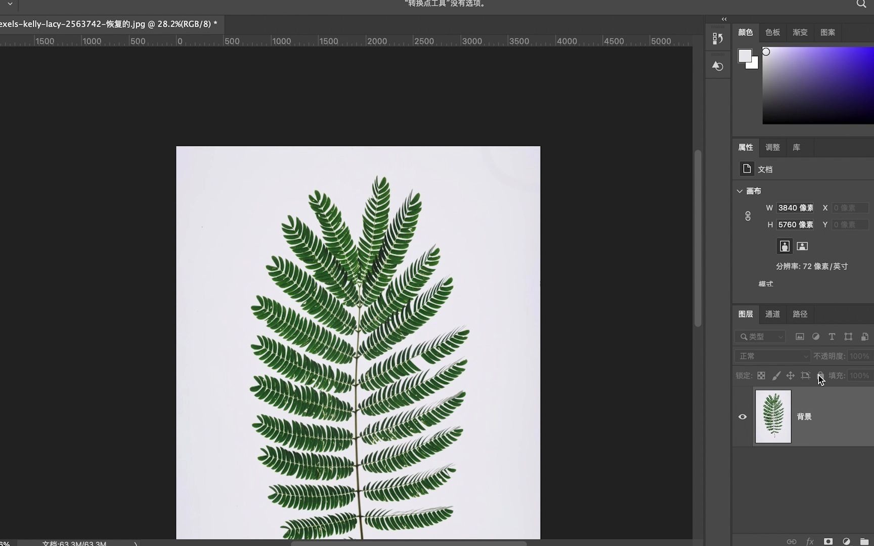 1分钟Photoshop教室 - 如何在Photoshop中制作自定义形状