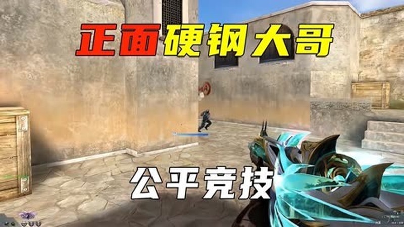 电脑里唯一玩家自己都能反外挂的游戏……