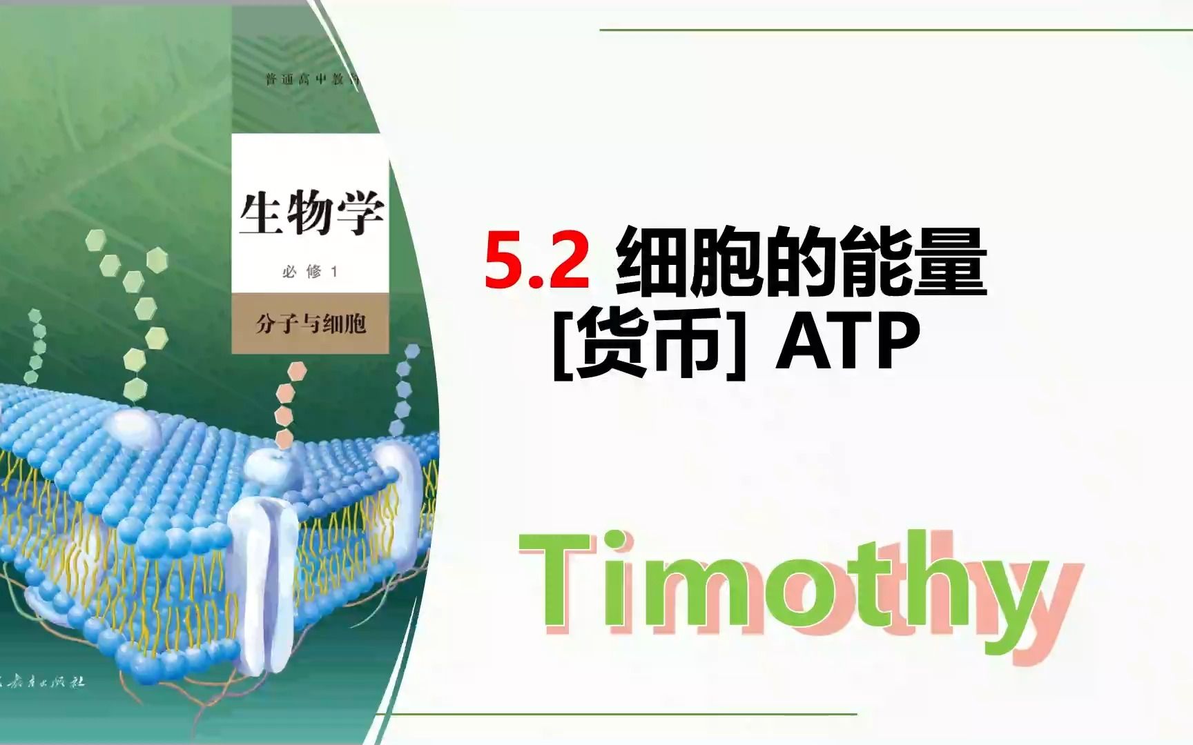 【2023生物学必修1】5.2细胞的能量"货币"ATP 新人教版新高考新课标...