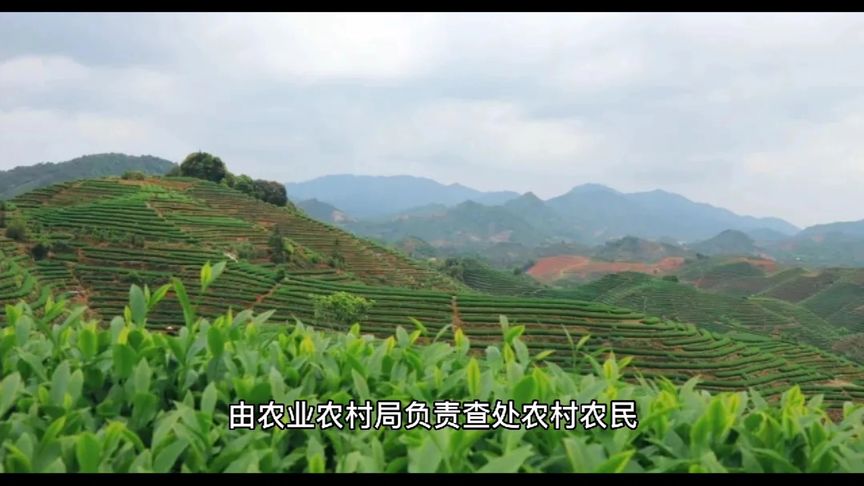 《土地管理法》修正后由农业农村局负责查处农村农民非法占用耕地