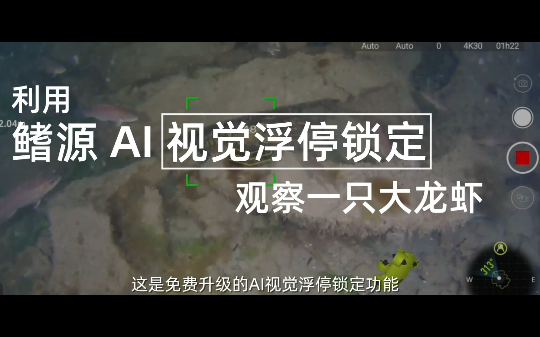 如何实时盯住一只大龙虾?鳍源AI视觉浮停锁定为你揭秘!