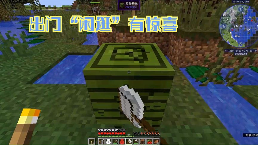 我的世界林业10:出门“闲逛”有惊喜