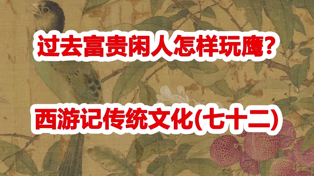 西游记传统文化(七十二):过去富贵闲人怎样玩鹰?