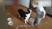 小主人喜欢亲吻猫咪, 猫咪主动伸头宝宝的动作亮啦, 暖炸无数人