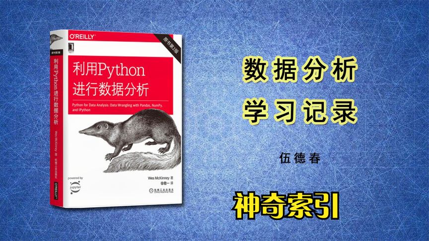4-10 python进行数据分析-神奇索引