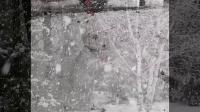 十宗罪里的肢体雪人事件,真的是根据真实事件改编的吗?