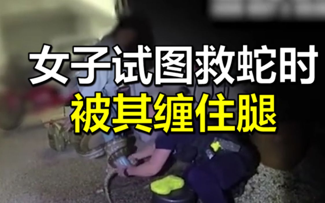 澳大利亚一女子试图救一条蛇时被其缠住腿 不得不报警求救
