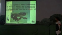 沙门中学七届综合实践活动成果展示12生肖的畅想