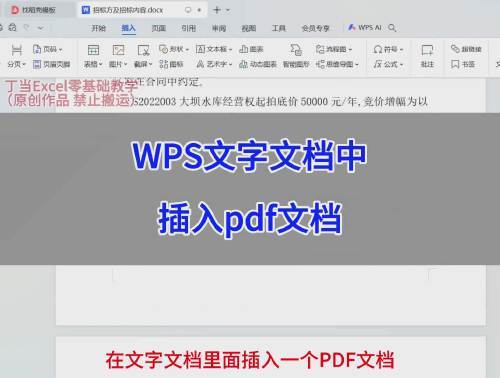 WPS文字文档中,在指定位置插入pdf文档,双击即可打开
