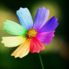 摩羯豆豆讲故事 