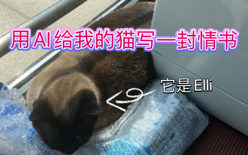 用AI给我的猫写一封情书:copy.ai 一款利用OpenAI的GPT-3来生成文字...