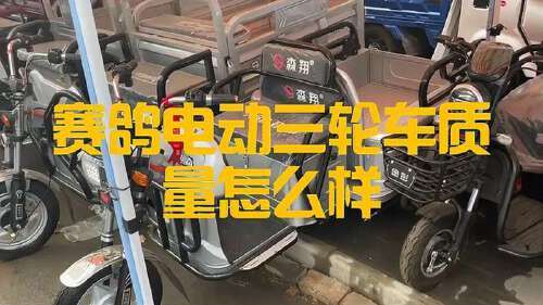 赛鸽电动三轮车实测:家用载货真的靠谱吗?看完再买不踩坑!