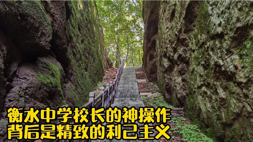 衡水中学校长的神操作,背后是精致的利己主义