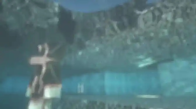 养999种动物计划我的世界minecraft