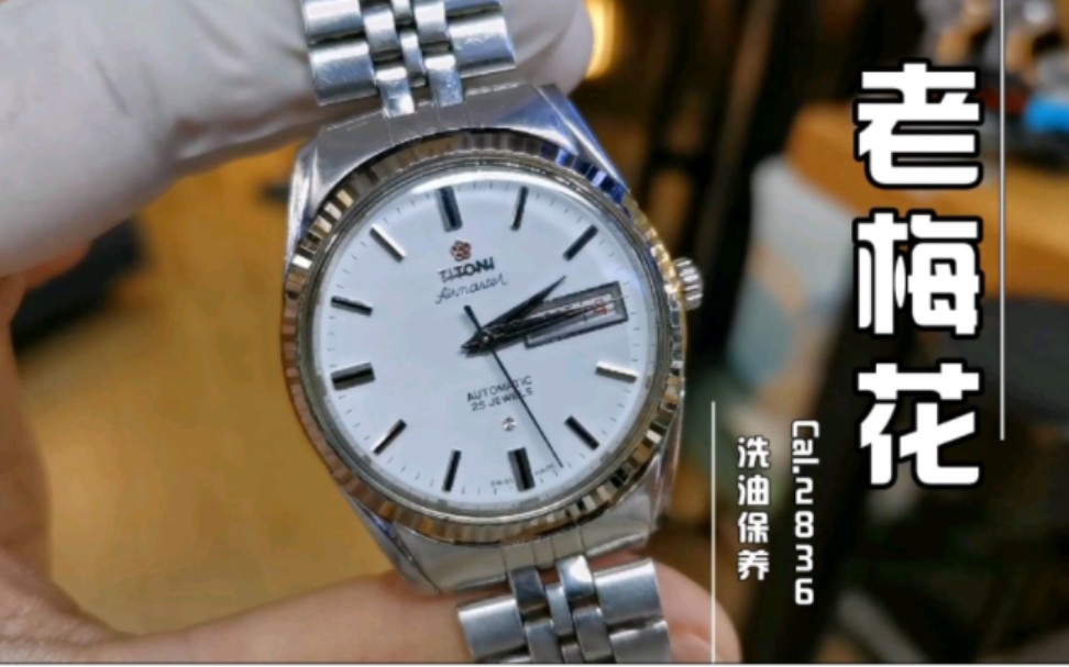 TITONI梅花机械表常规洗油保养实录,Cal.2836机芯等时性校准