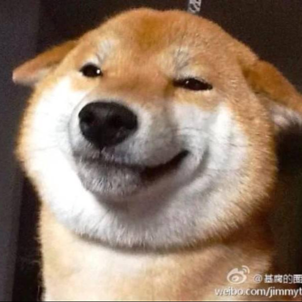 猿掌柜 
