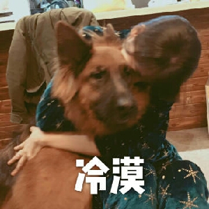小鲸鱼的碎冰 