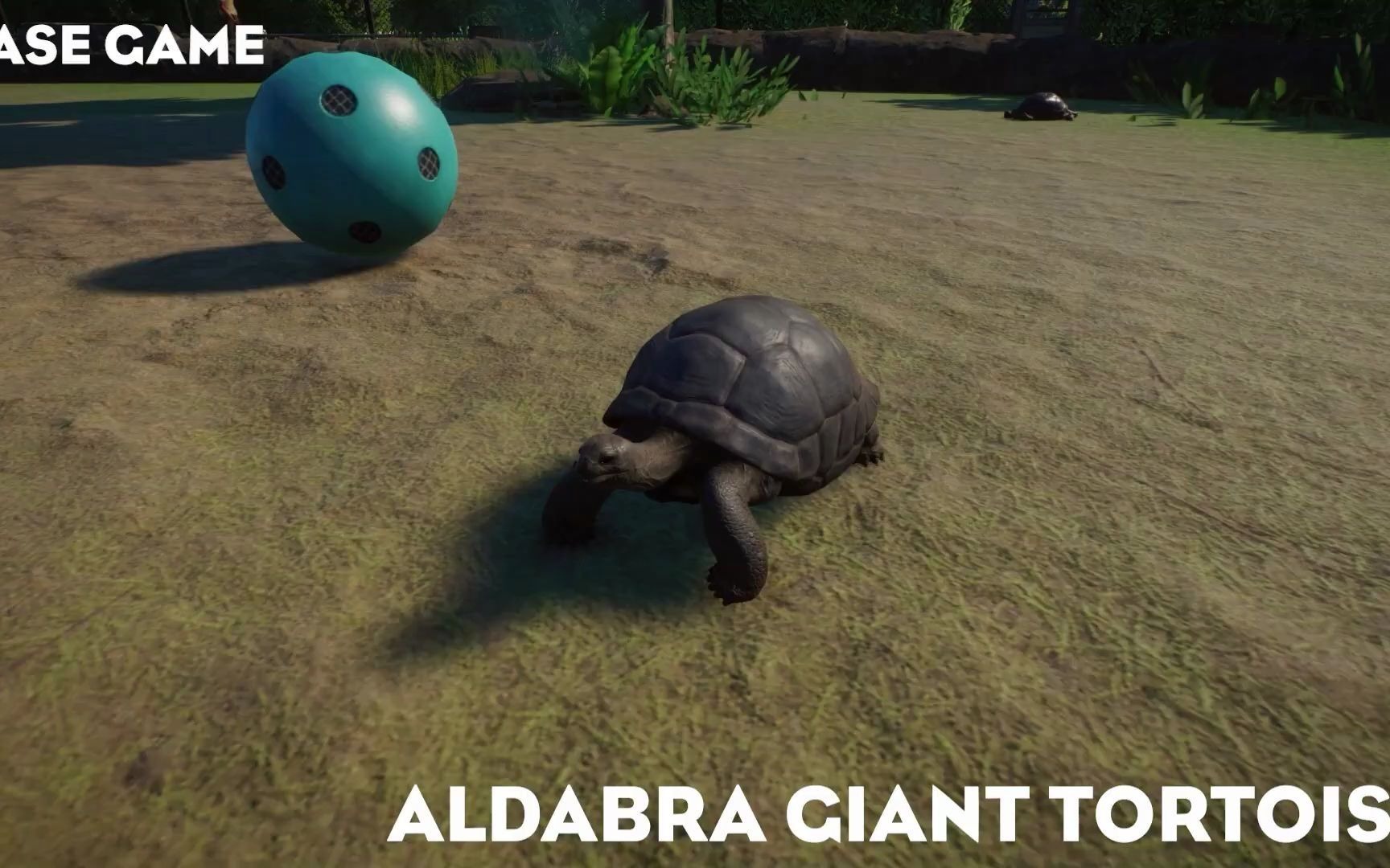 Planet Zoo 动物园之星全部95种物种一览 (1080p最全!)