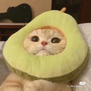 兮寞 