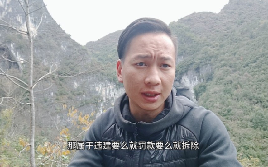 创业养牛,场地规划建设牛棚,这些要求你一定要知道