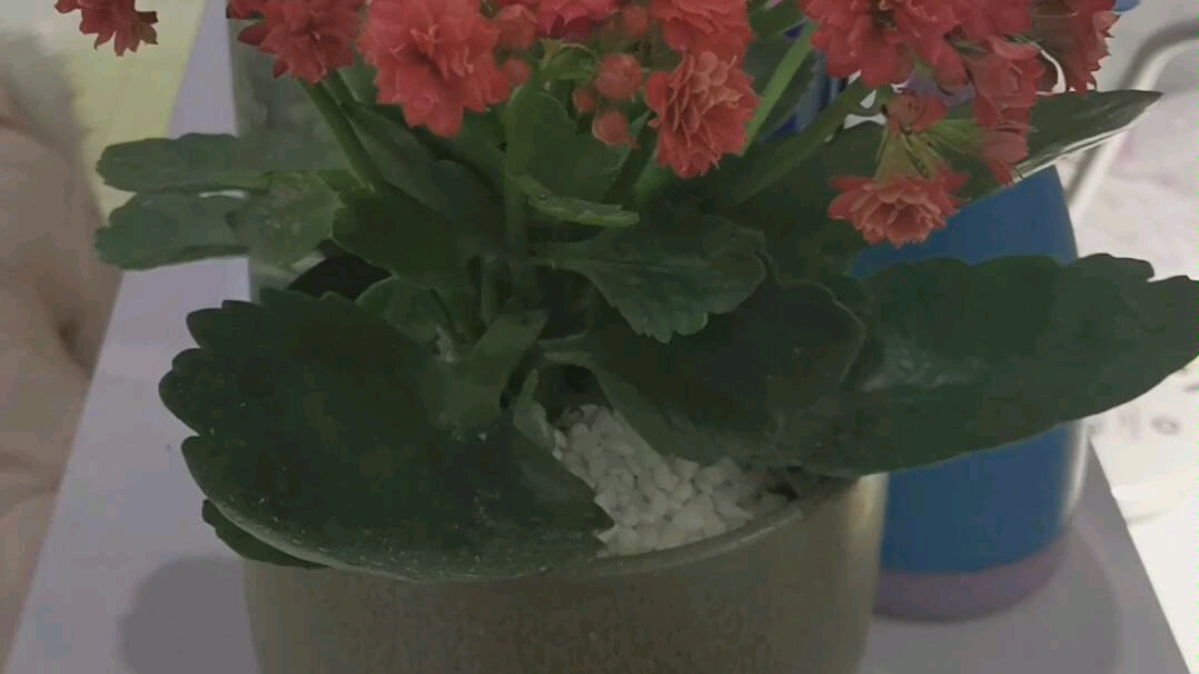 DIY小鱼缸过滤器,上次做的过滤时间长了不方便清理,这次做个背滤看看...